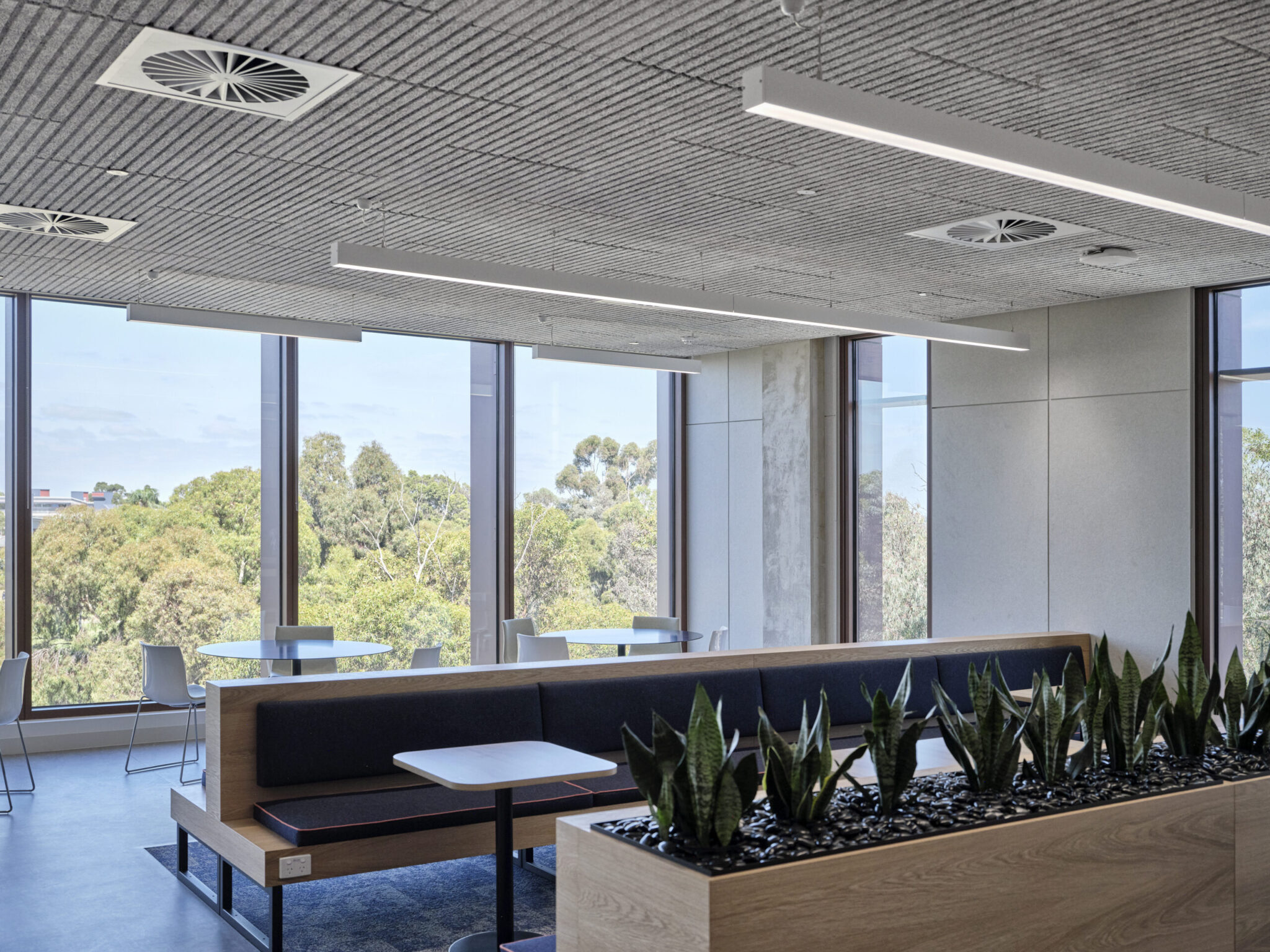 Biophilic Design - Himmel